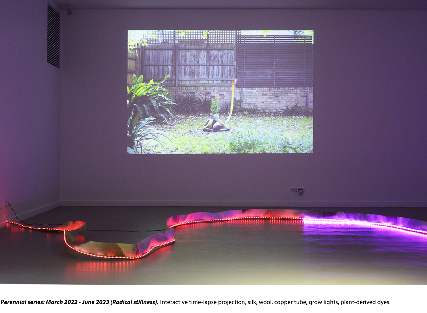 Perennial series – Mapping Future Imaginaries